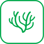 Home - English - Reef factory