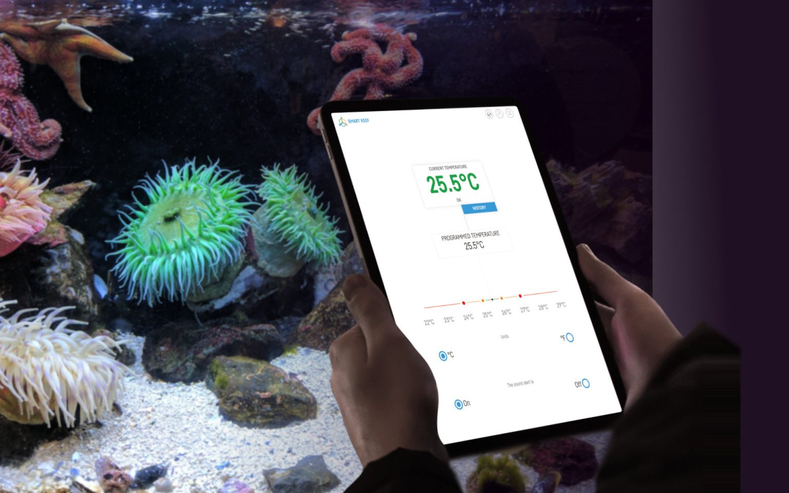 Thermo control - Reef factory