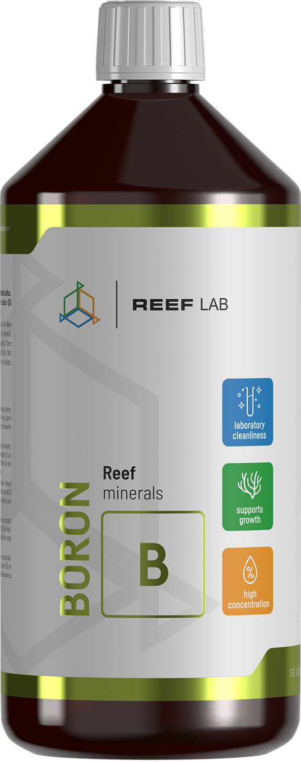 Boron - Reef factory